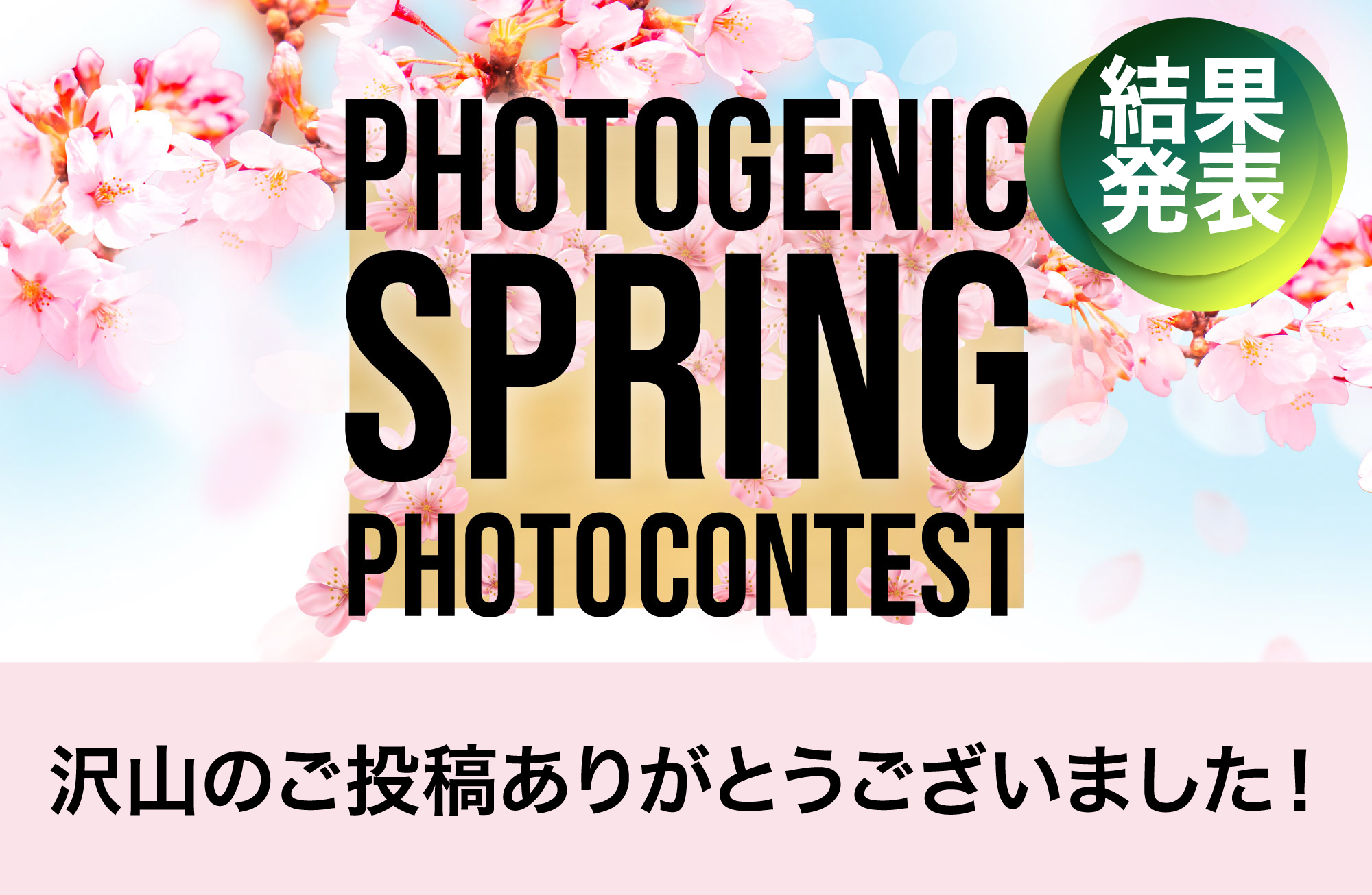 Photogenic Spring Photo Contest | EVERYBODY×PHOTOGRAPHER.com