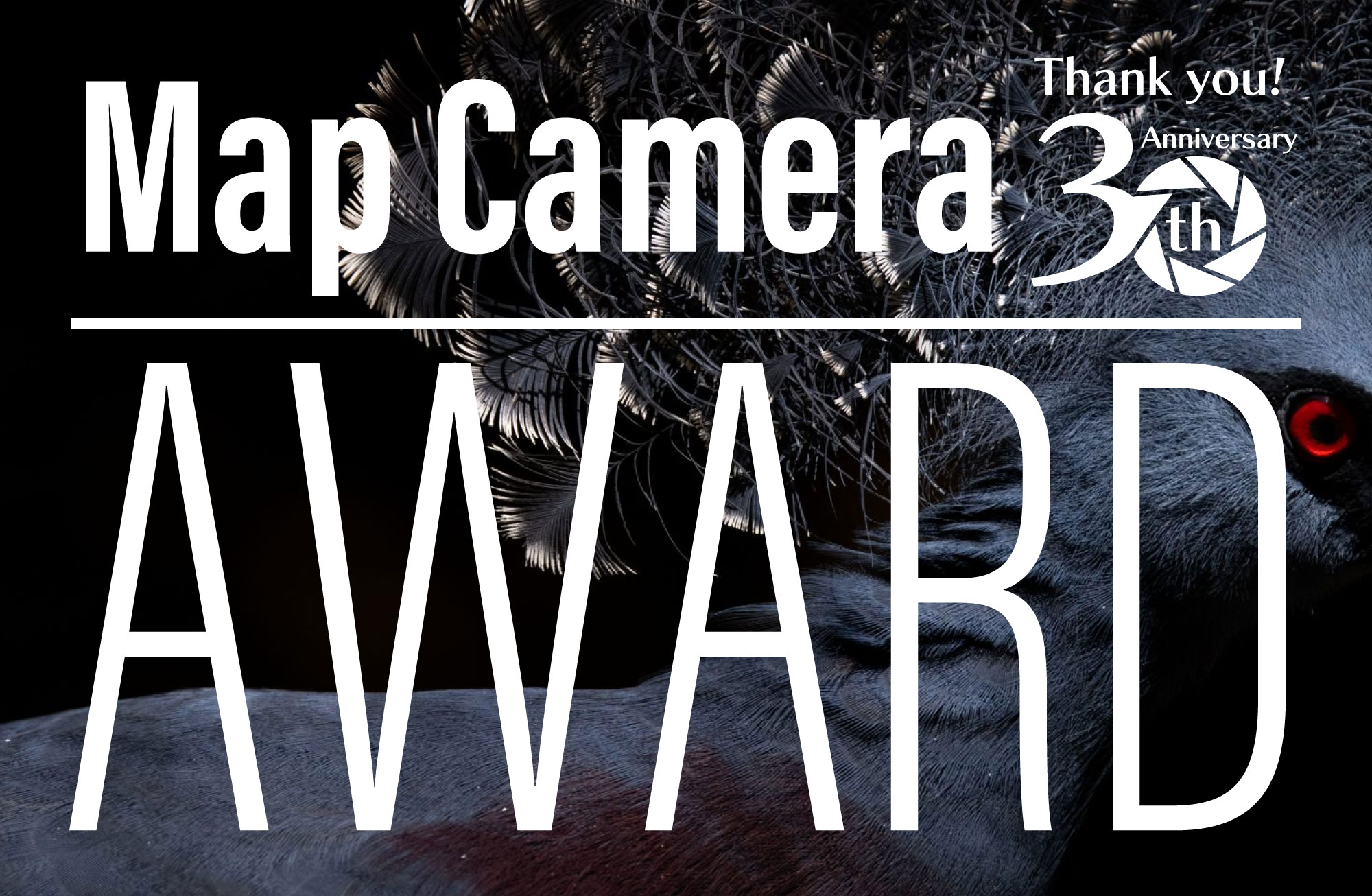 Map Camera AWARD 2024-2025 | EVERYBODY×PHOTOGRAPHER.com