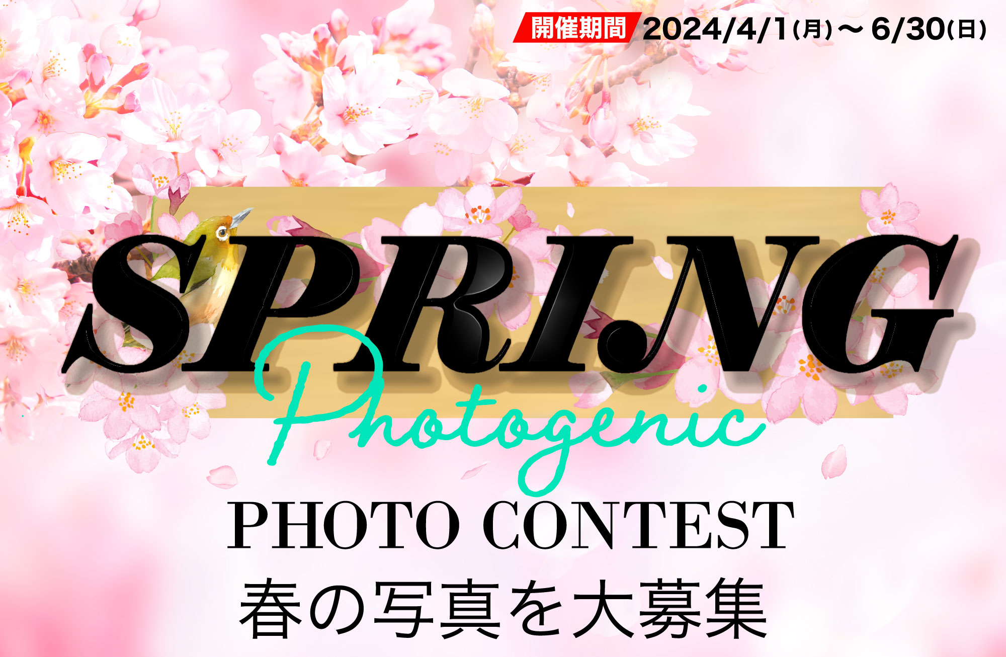 PHOTOGENIC SPRING PHOTO CONTEST | EVERYBODY×PHOTOGRAPHER.com