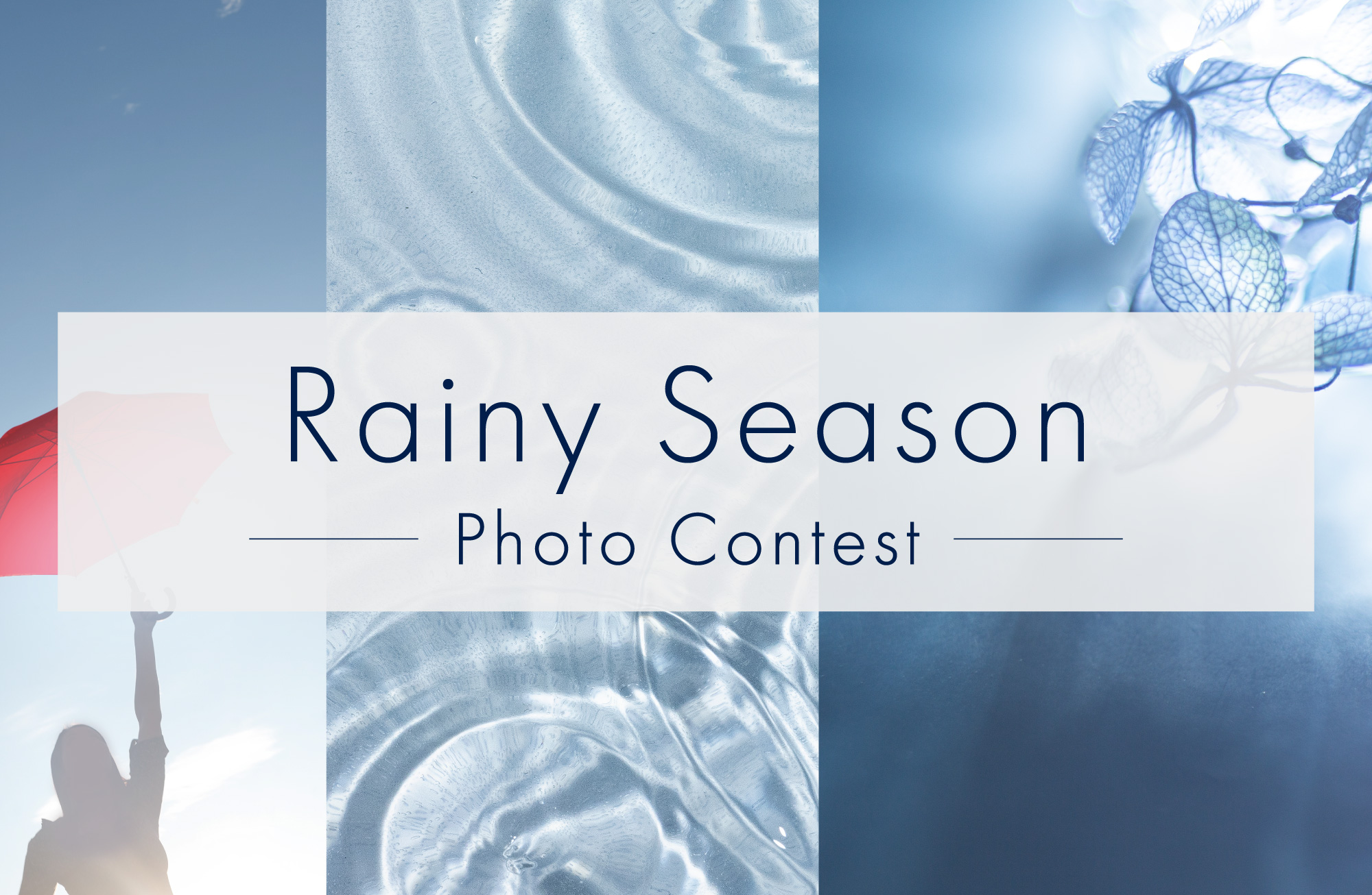 Rainy Season Photo Contest | EVERYBODY×PHOTOGRAPHER.com
