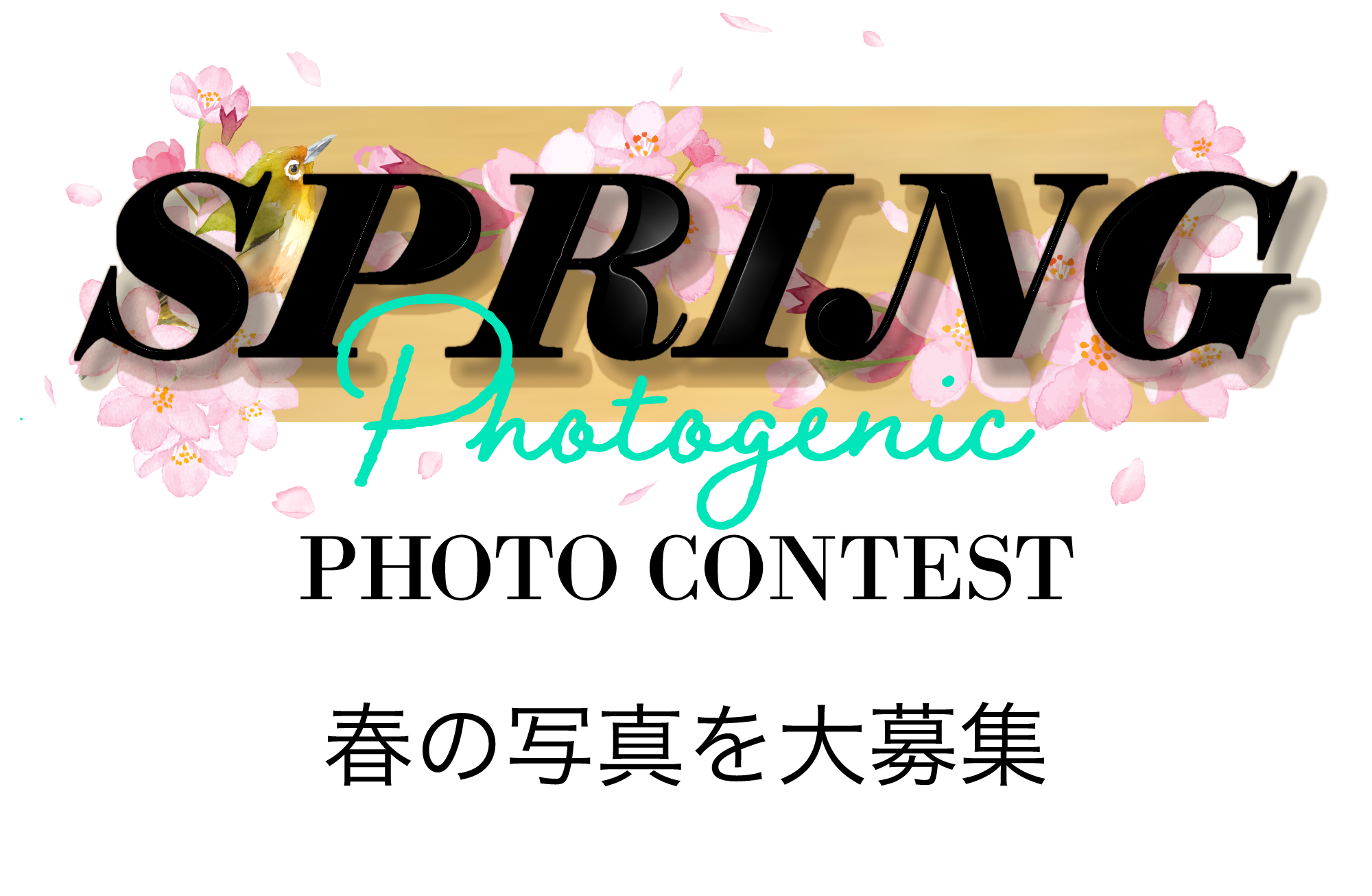 PHOTOGENIC SPRING PHOTO CONTEST | EVERYBODY×PHOTOGRAPHER.com