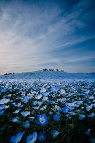 EVERYBODY × PHOTOGRAPHER.com