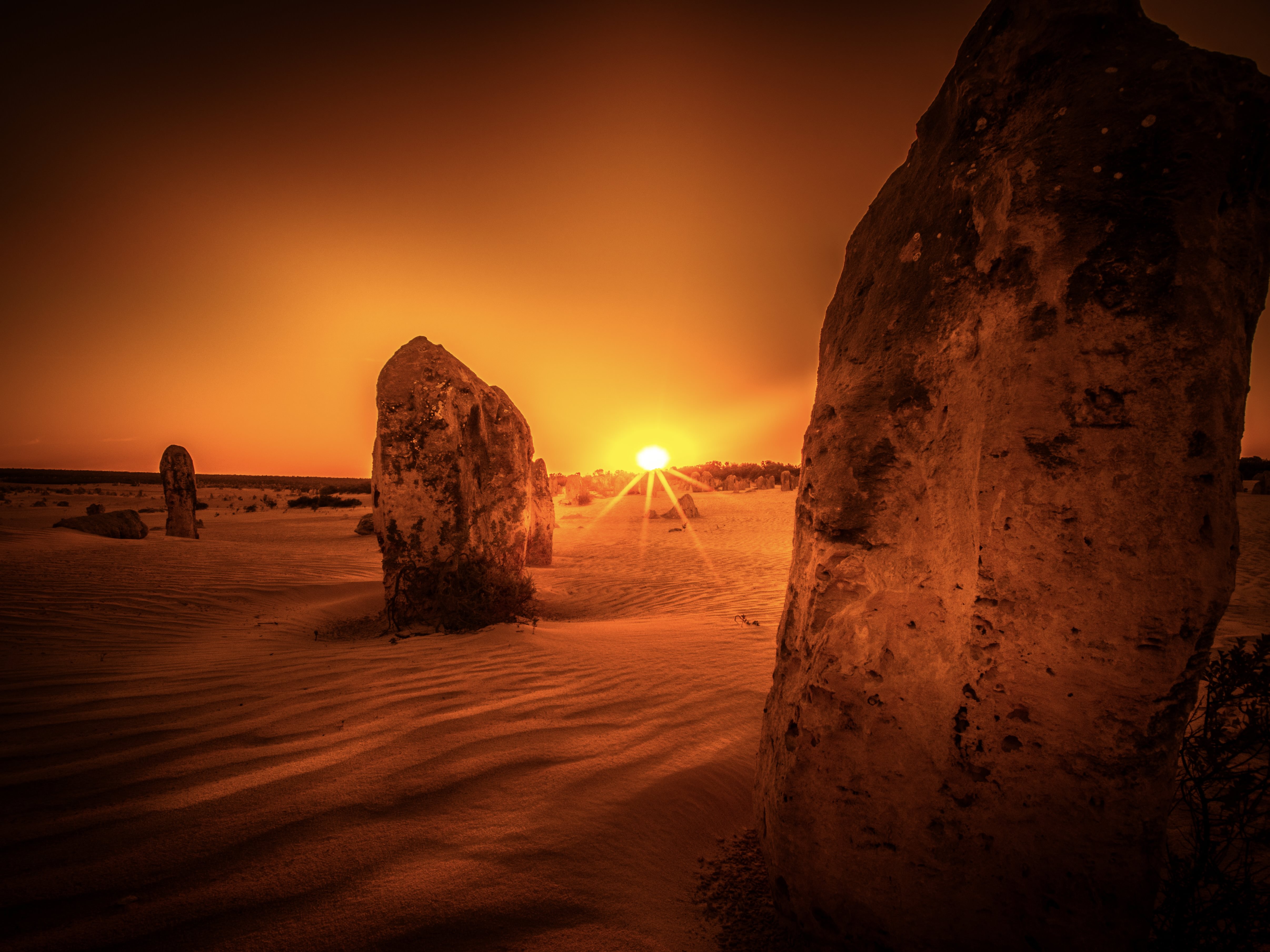 EVERYBODY × PHOTOGRAPHER.com