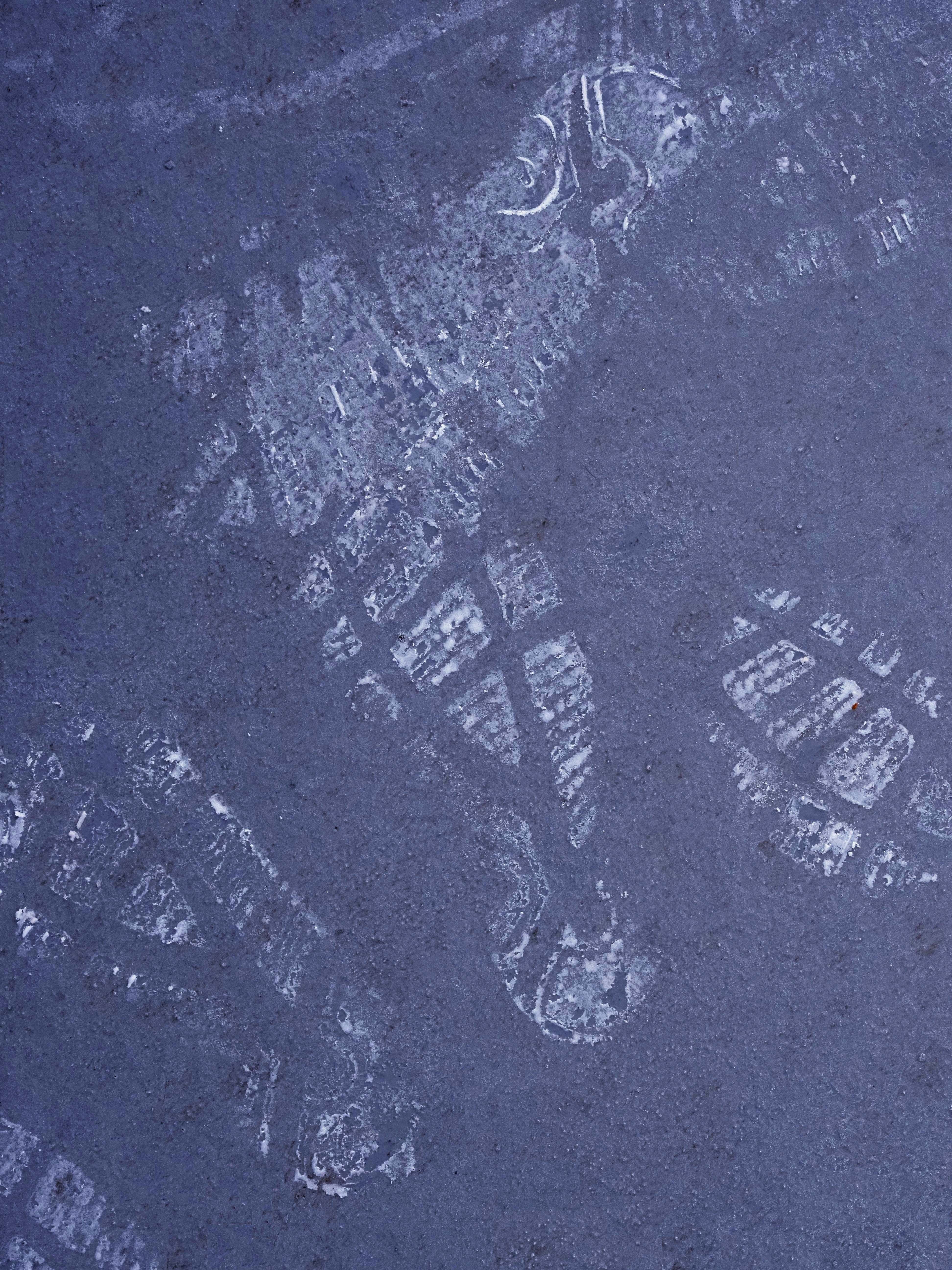 EVERYBODY × PHOTOGRAPHER.com