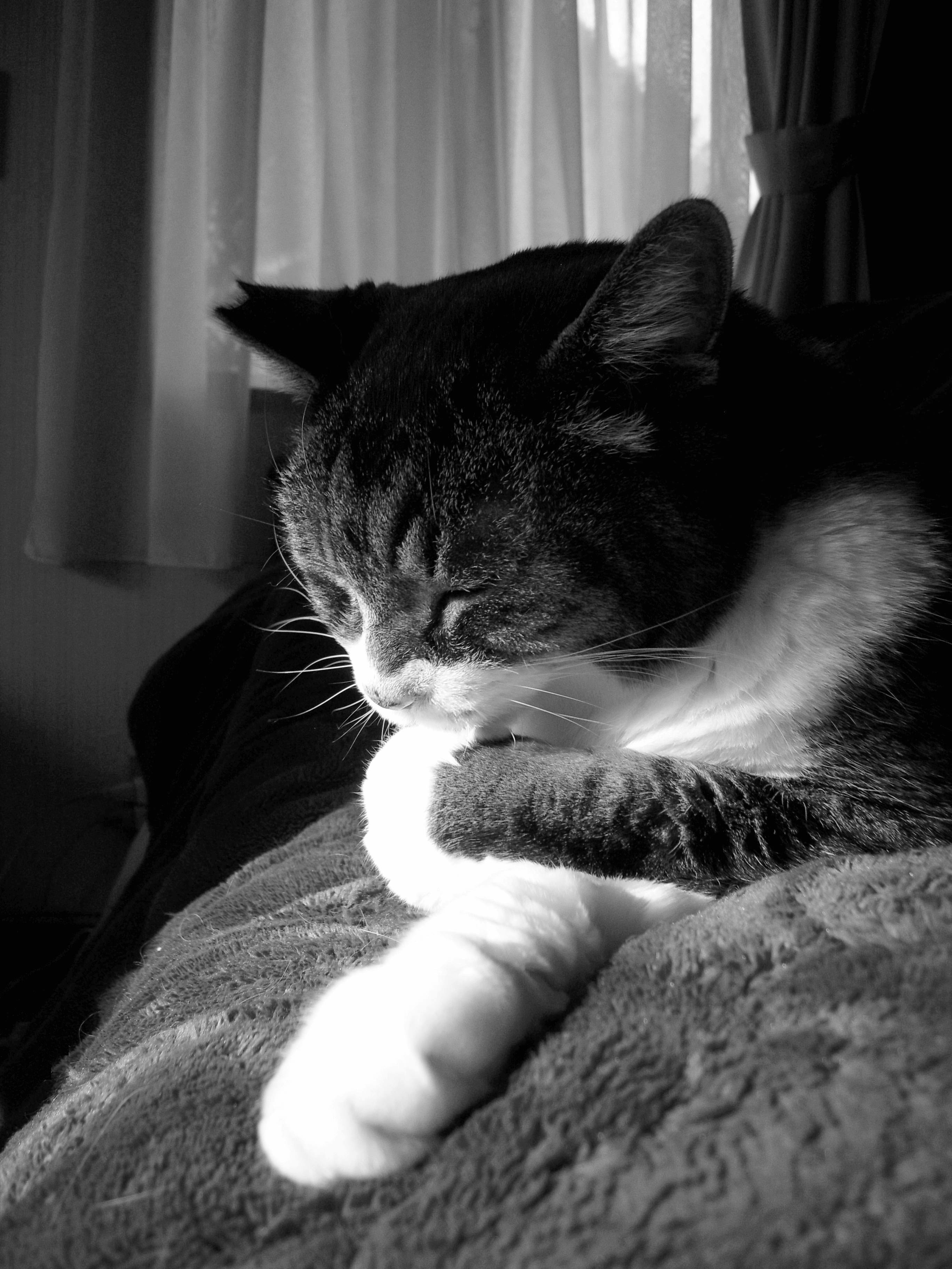 EVERYBODY × PHOTOGRAPHER.com