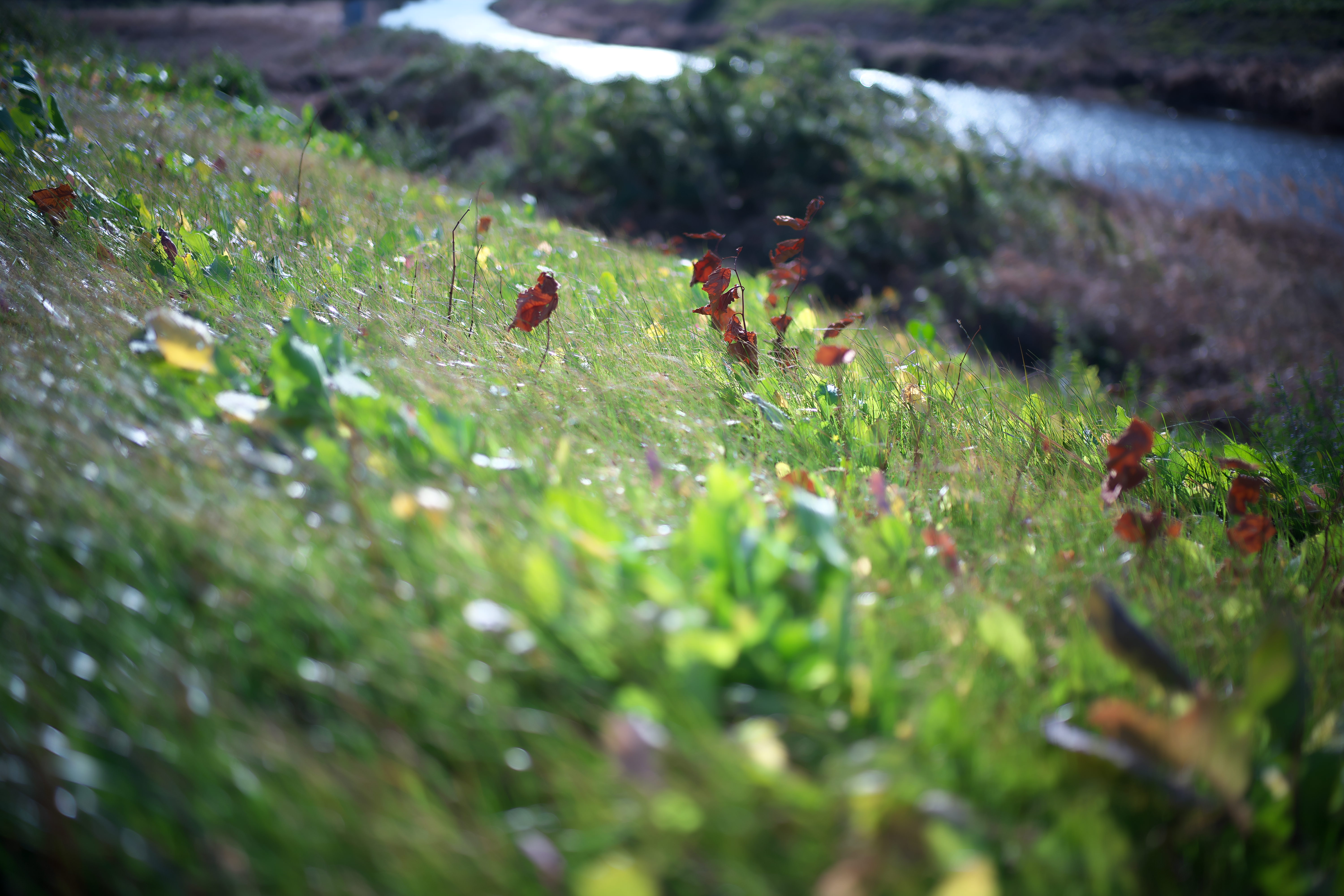 EVERYBODY × PHOTOGRAPHER.com