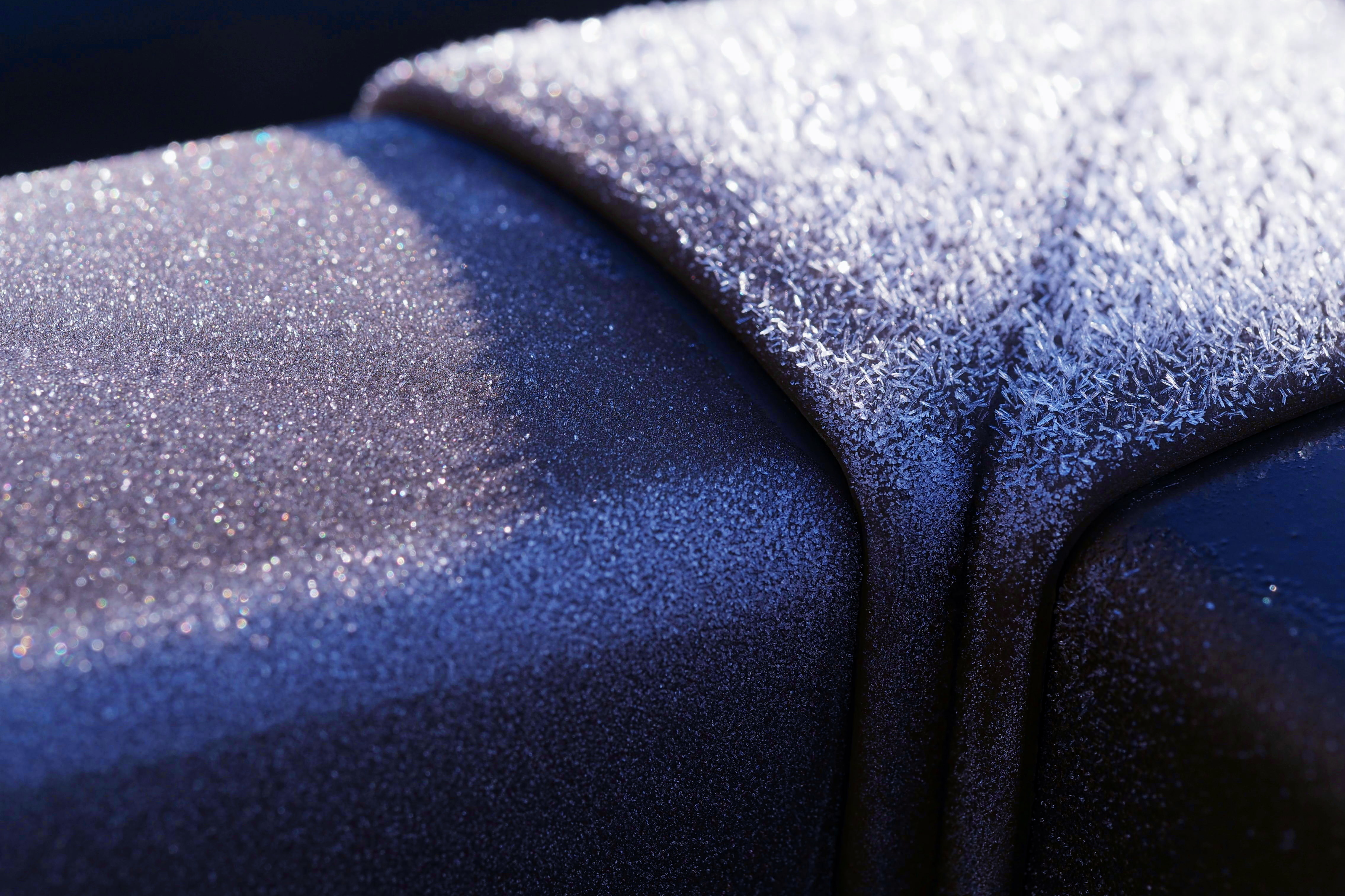 EVERYBODY × PHOTOGRAPHER.com