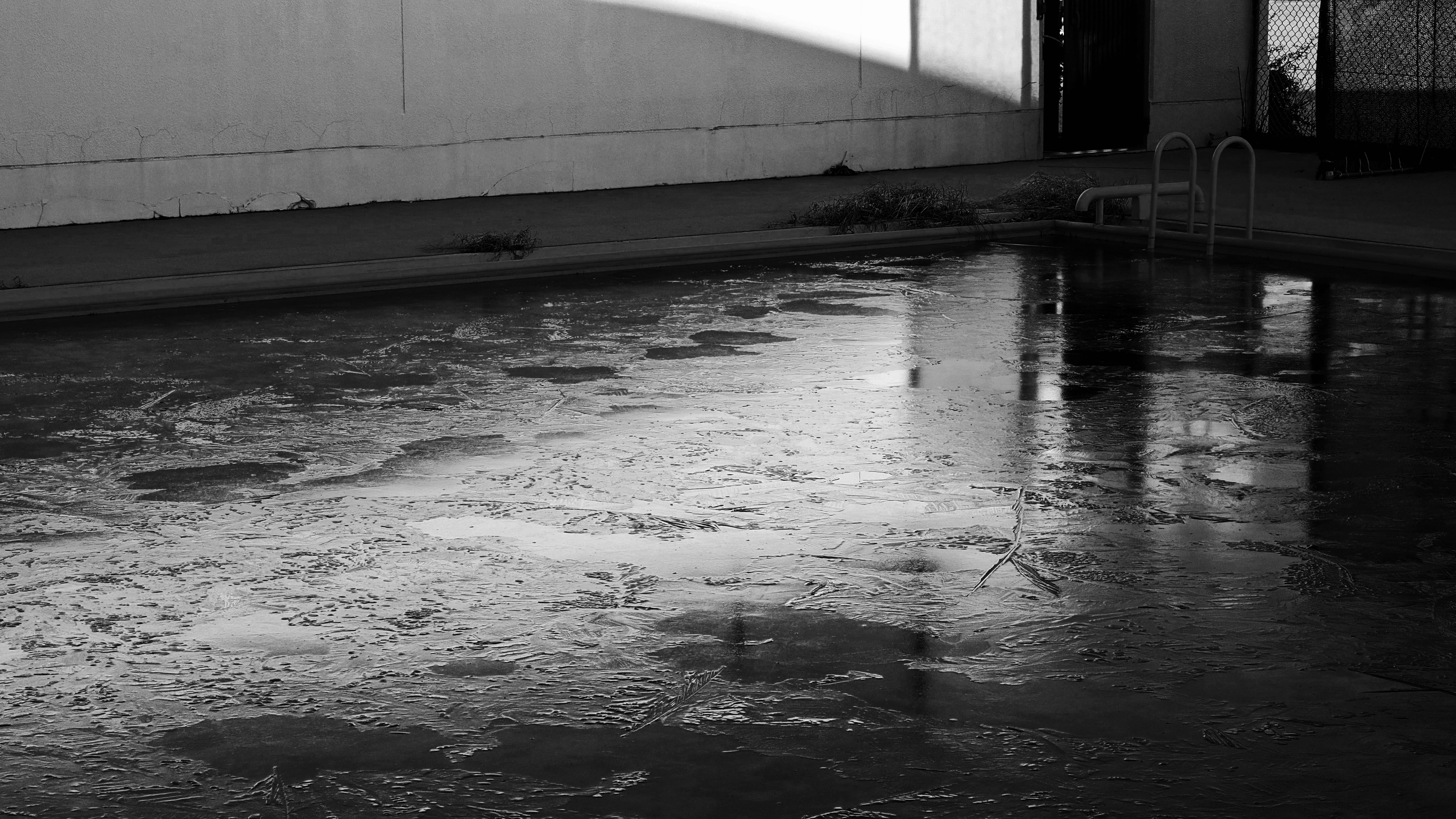 EVERYBODY × PHOTOGRAPHER.com