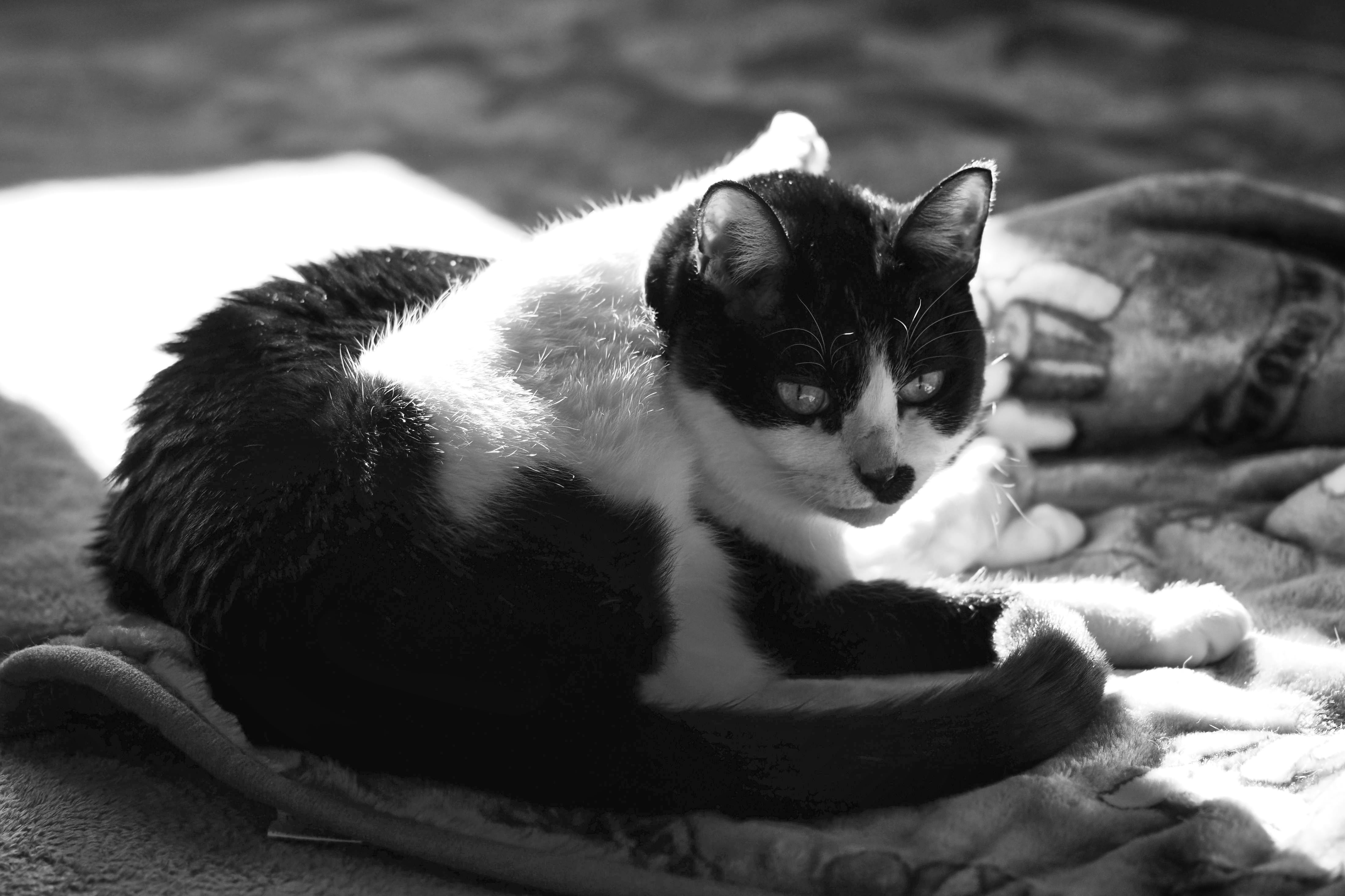 EVERYBODY × PHOTOGRAPHER.com