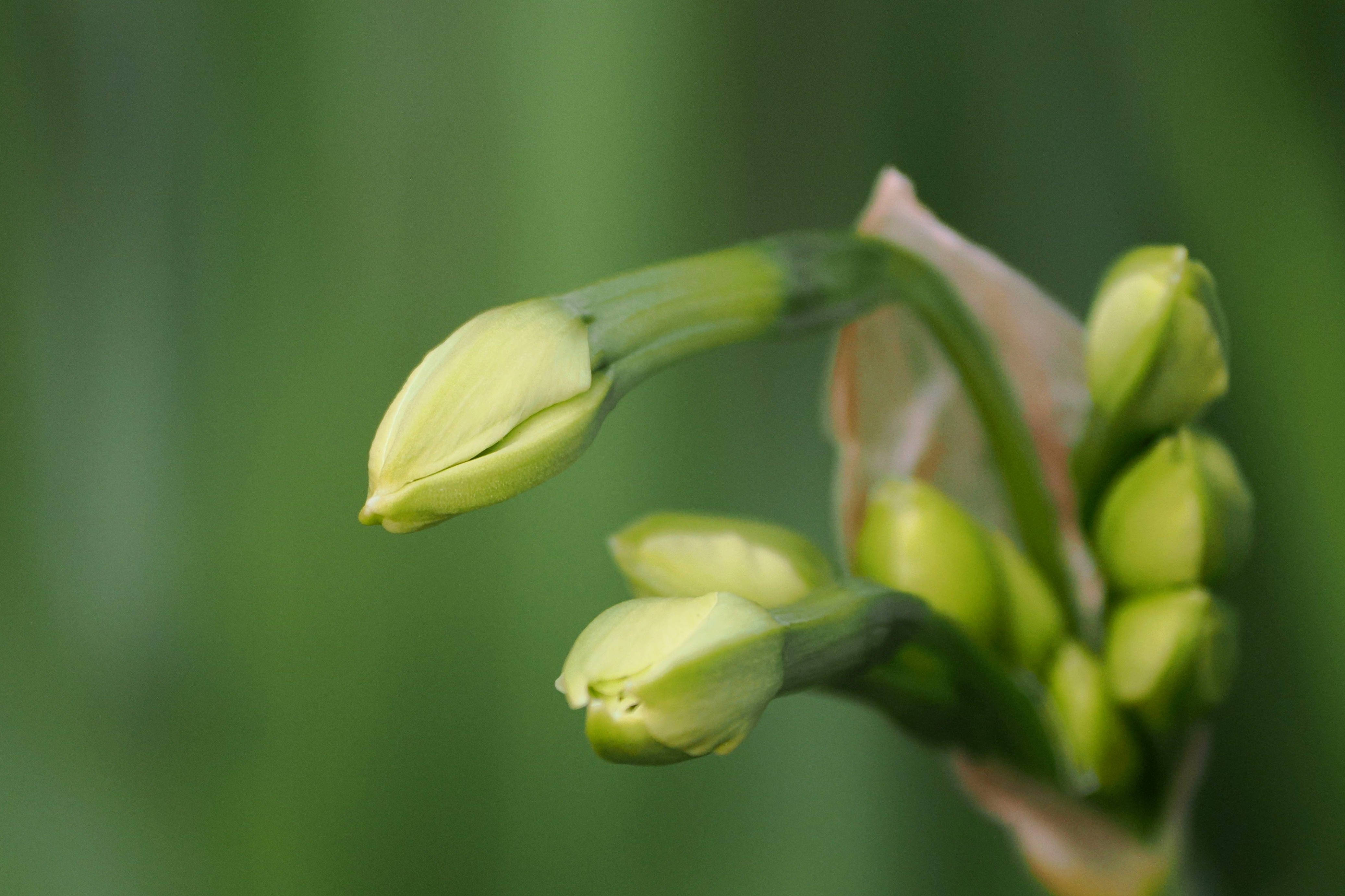 EVERYBODY × PHOTOGRAPHER.com