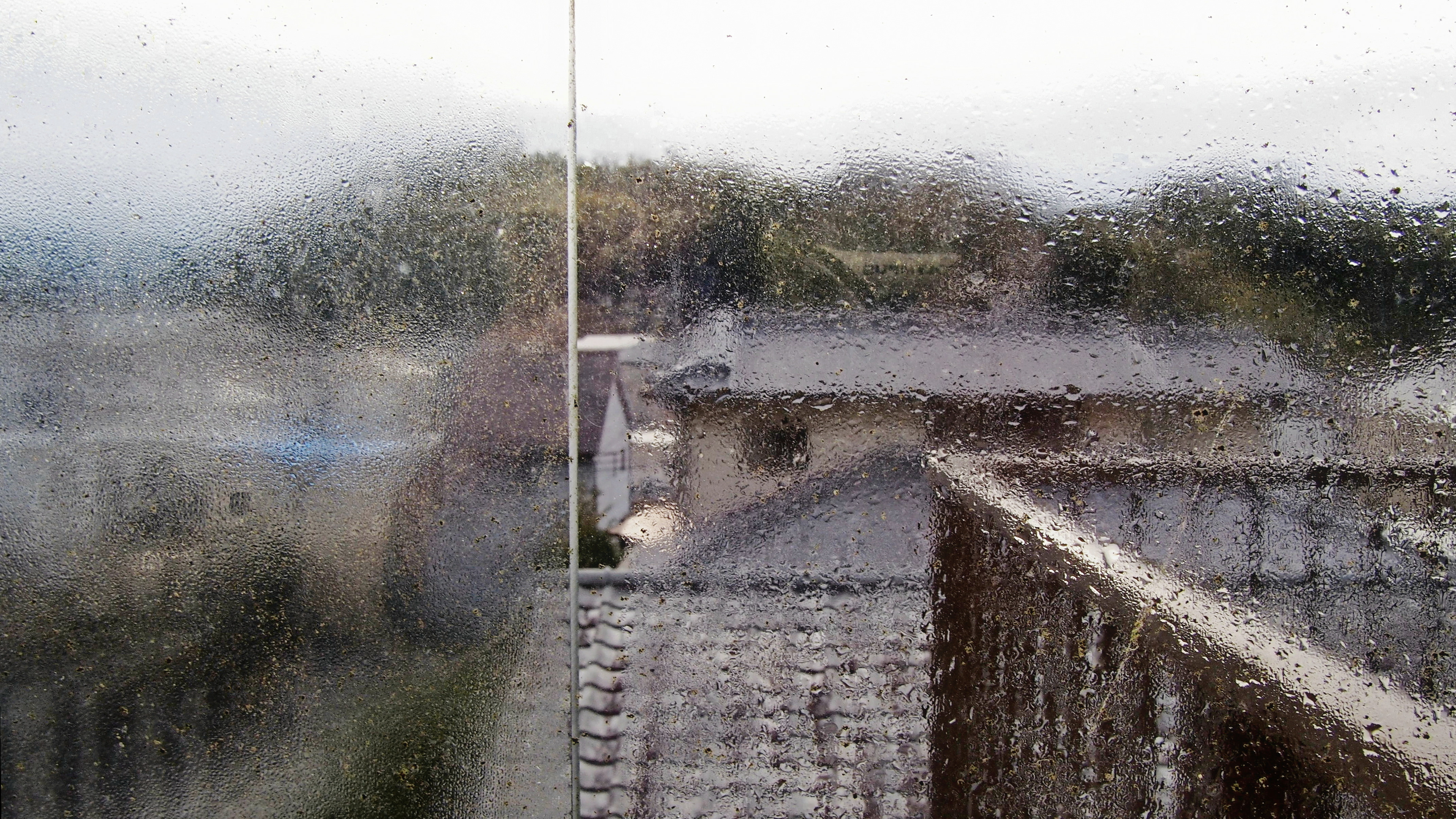 EVERYBODY × PHOTOGRAPHER.com