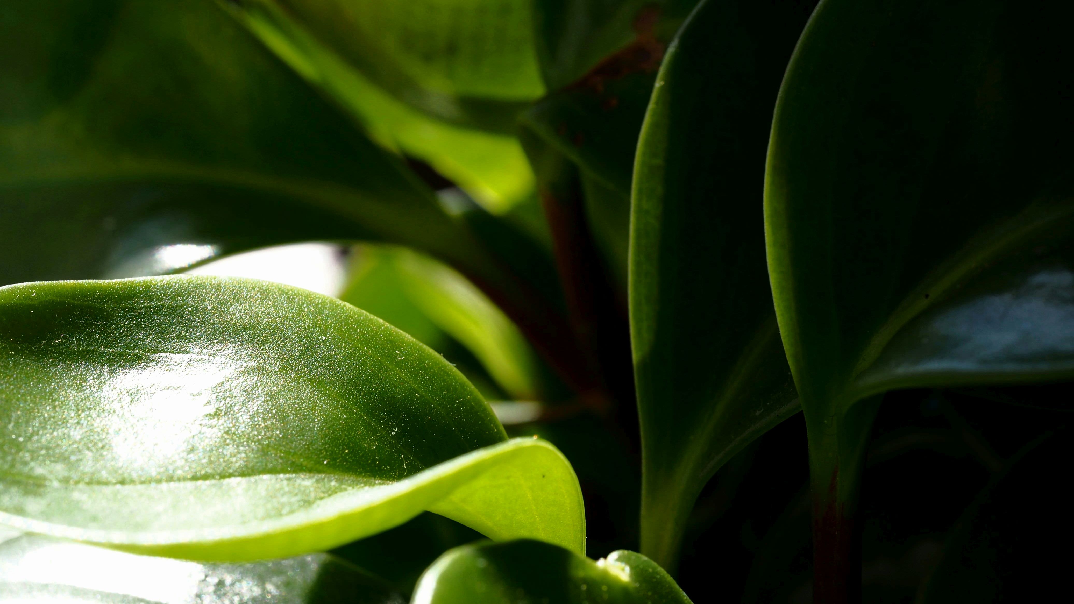 EVERYBODY × PHOTOGRAPHER.com