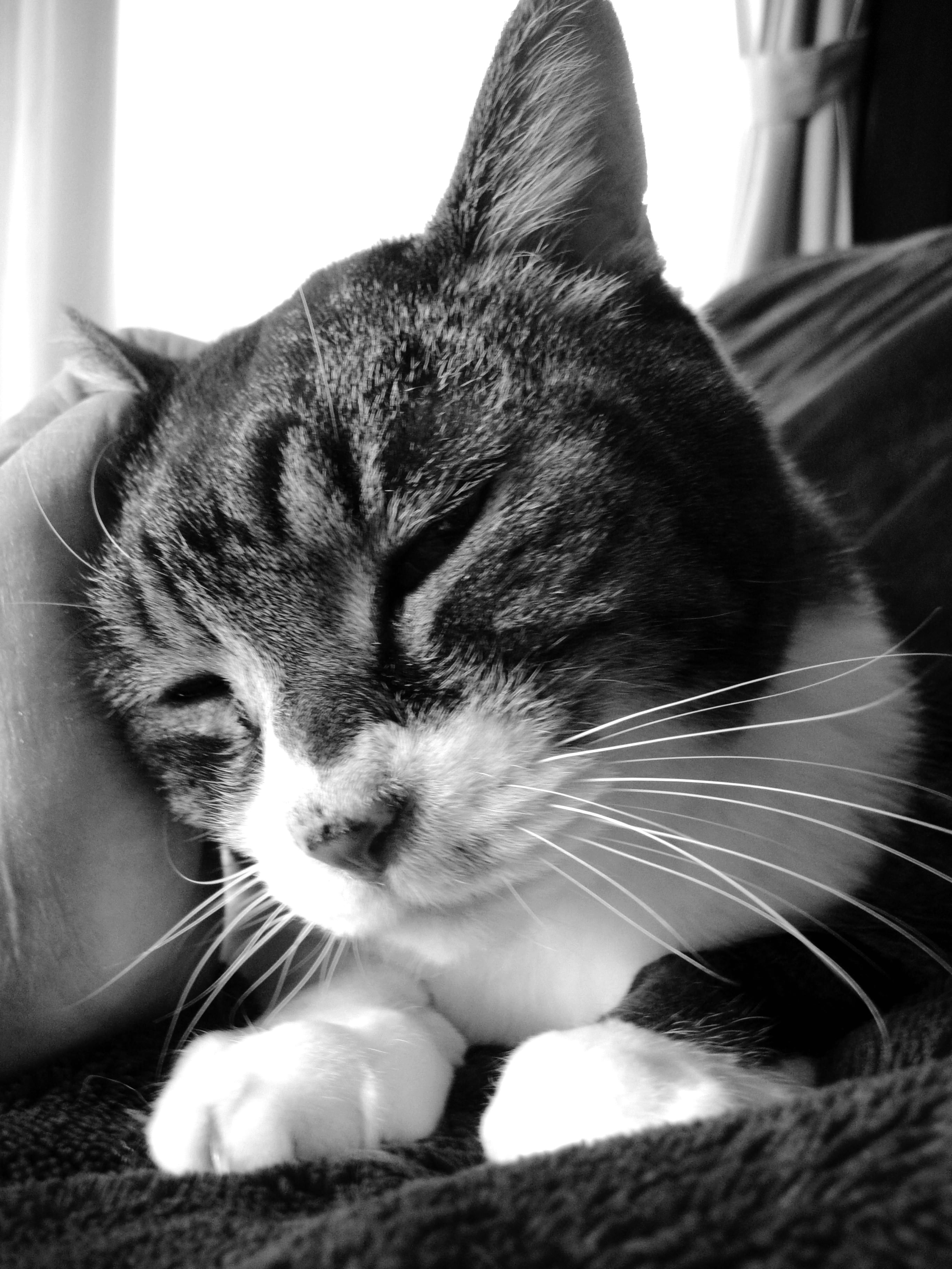 EVERYBODY × PHOTOGRAPHER.com