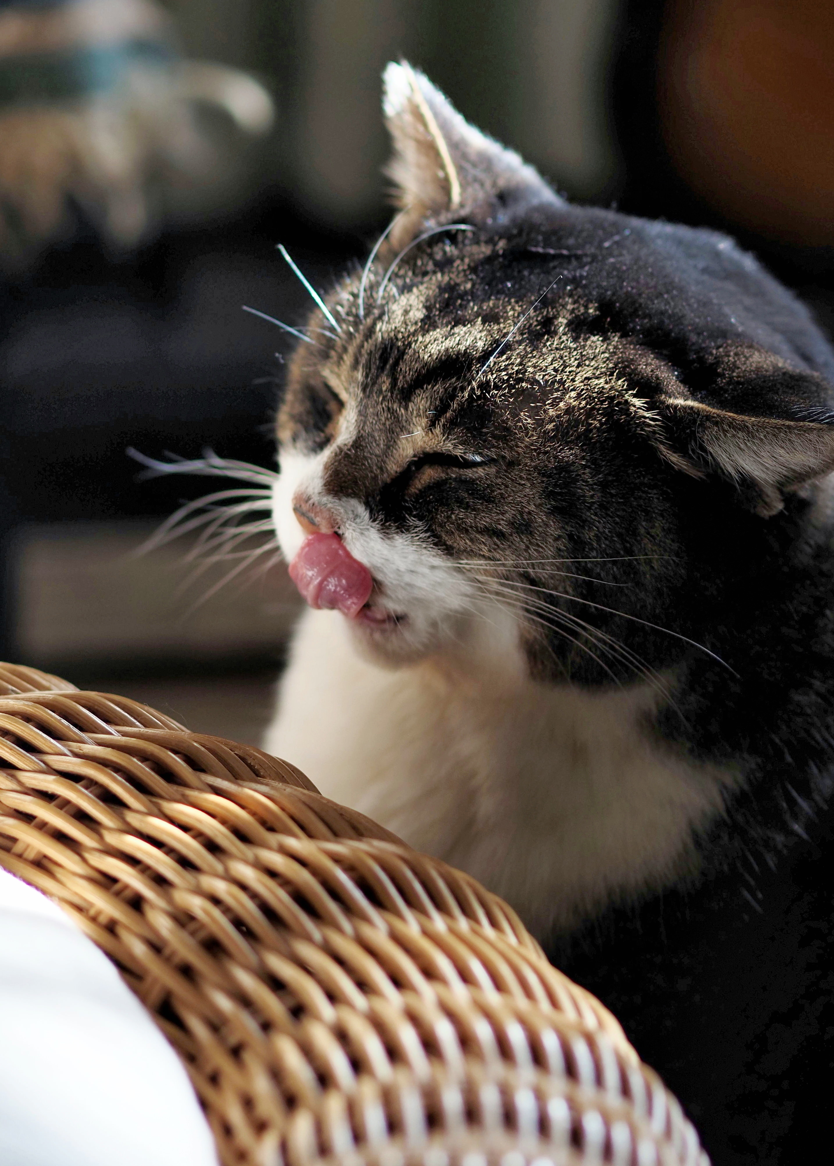 EVERYBODY × PHOTOGRAPHER.com