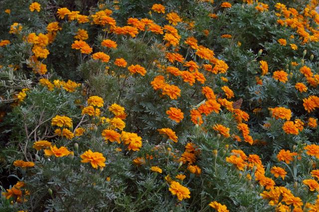 EVERYBODY × PHOTOGRAPHER.com