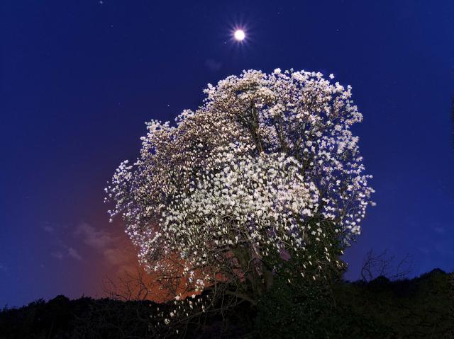 EVERYBODY × PHOTOGRAPHER.com