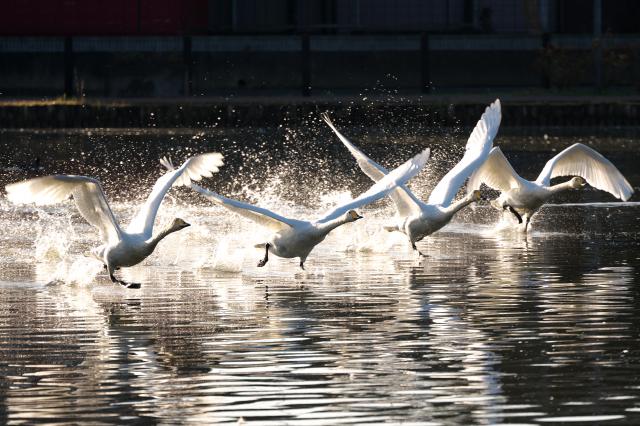 EVERYBODY × PHOTOGRAPHER.com