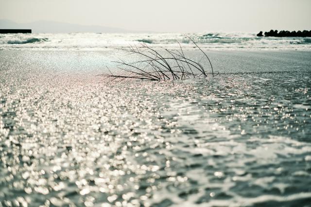 EVERYBODY × PHOTOGRAPHER.com