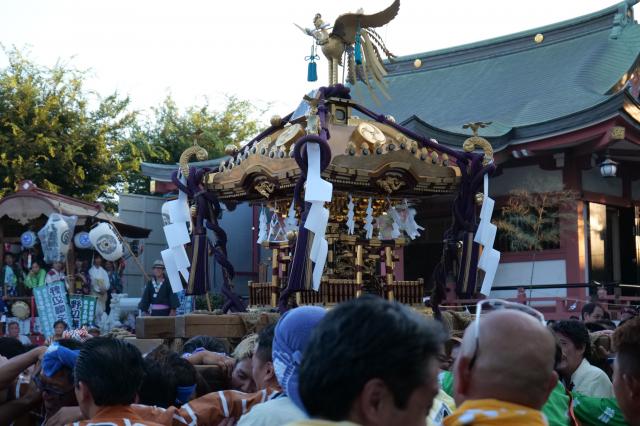 EVERYBODY × PHOTOGRAPHER.com