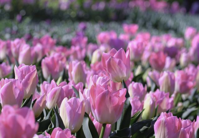 EVERYBODY × PHOTOGRAPHER.com